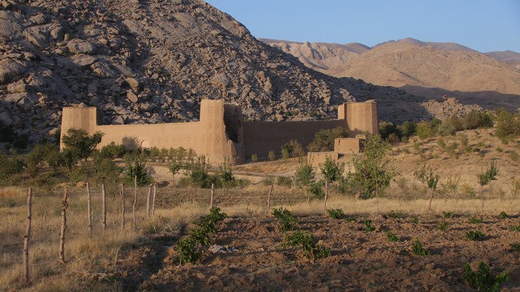 Afghan farmer's income rises with new horticultural practices