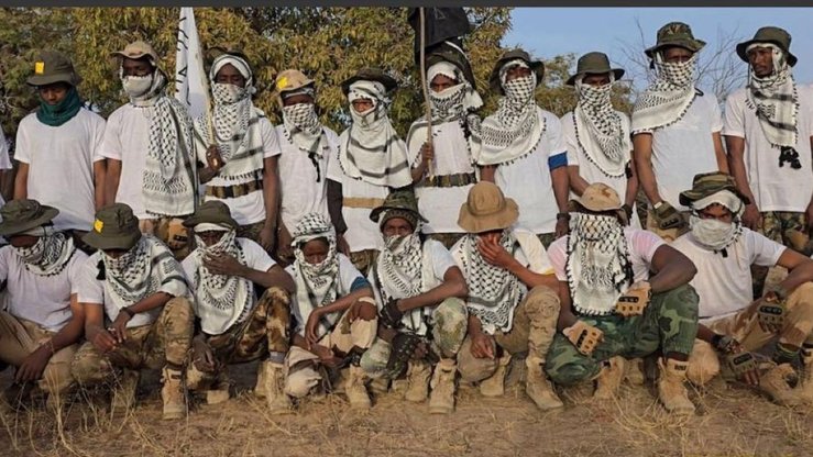 Thwarted assault on Malian towns exposes extremists' structural ...